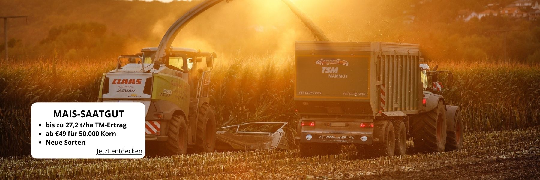 Mais Gras Sorghum Soja Saatgut günstig bestellen - Holtmann Saaten